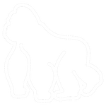 Jefe Club – JEFE COUTURE